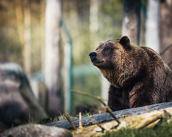 Grants & Recognition : Sumas First Nation